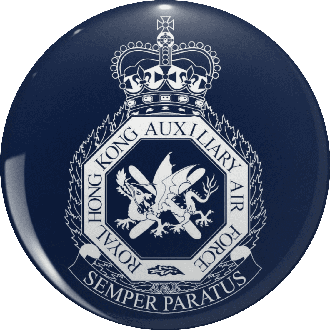 Royal Hong Kong Auxiliary Air Force Pin Lapel Pin Brooch Steel Pins ...