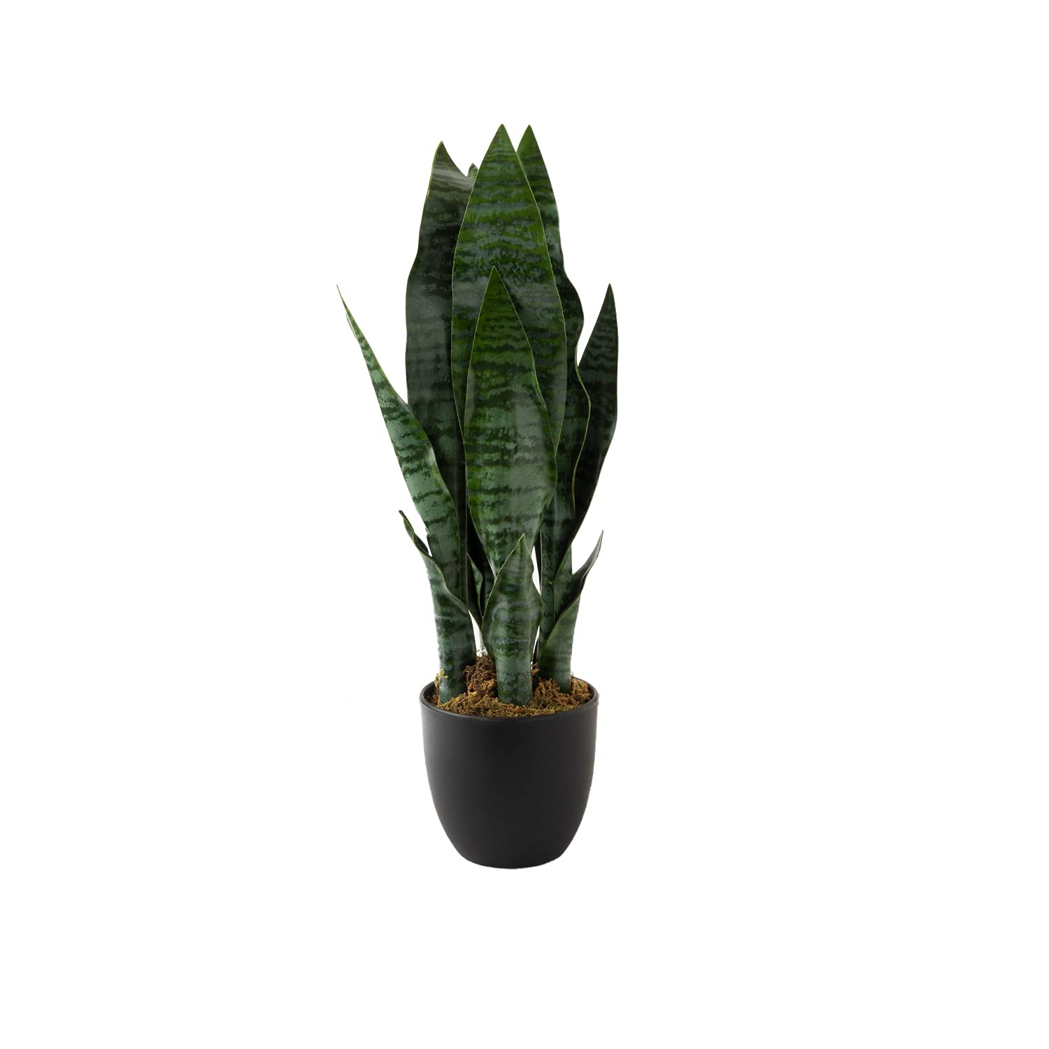 Royal Imports Artificial Sansevieria Leaf Plant, Life-Like Snake Plant ...