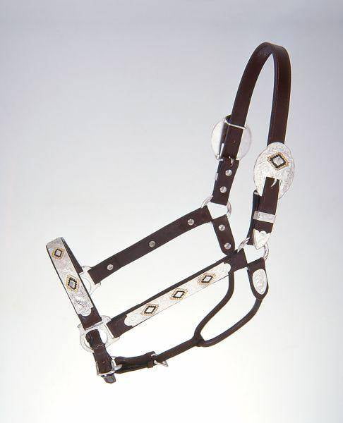 Tough 1 Halter Royal King Gold Black Silver Horse Dark Oil 18-903H ...