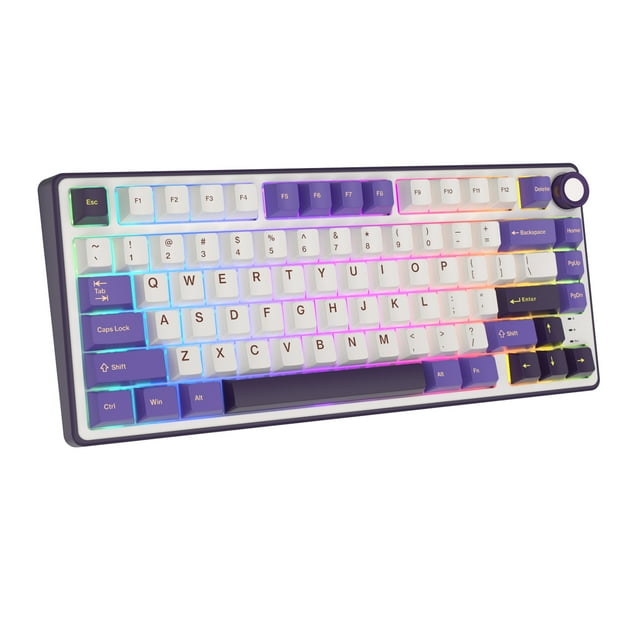 Royal Kludge R75 RGB Backlit 75% TKL Custom Gaming Keyboard, Wired with ...