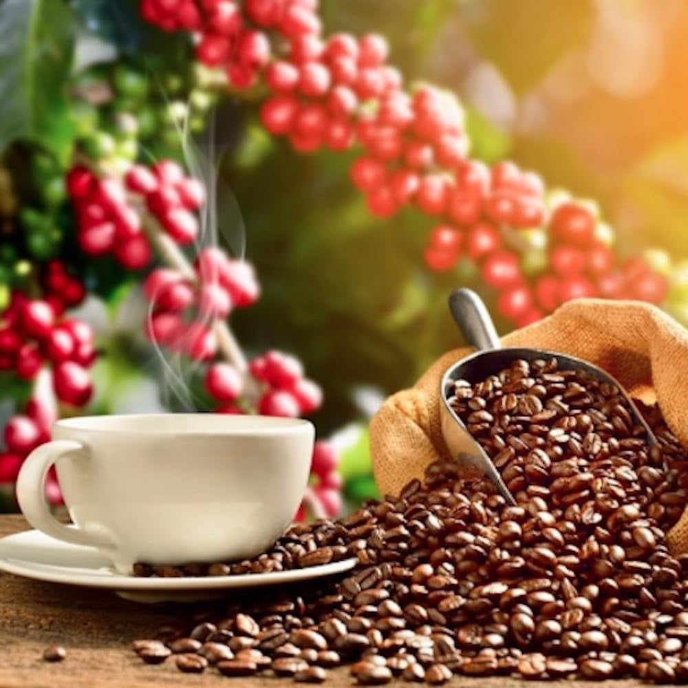 Royal Kona 10% SCH4 Kona Coffee Blend, Roy's Pacific Roast, A Taste of Aloha, Ground - 8 Ounce ...