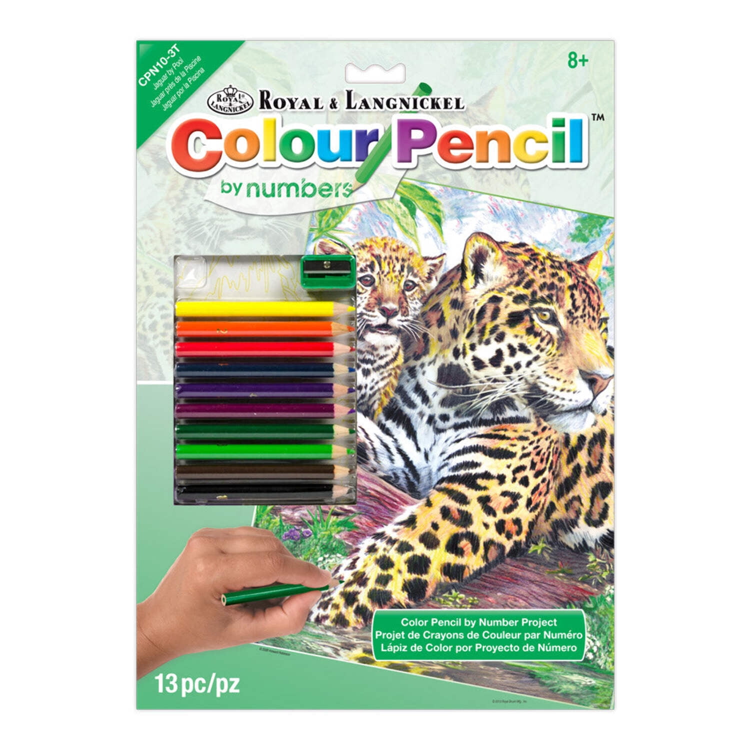 CPN10 | Colour Pencil by numbers™ 13pc 8.75" x 11.75" Jaguar by Pool ...