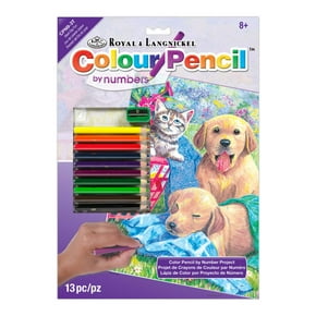 Color by Number Sets and Arts Crafts Toys for Kids and Adults