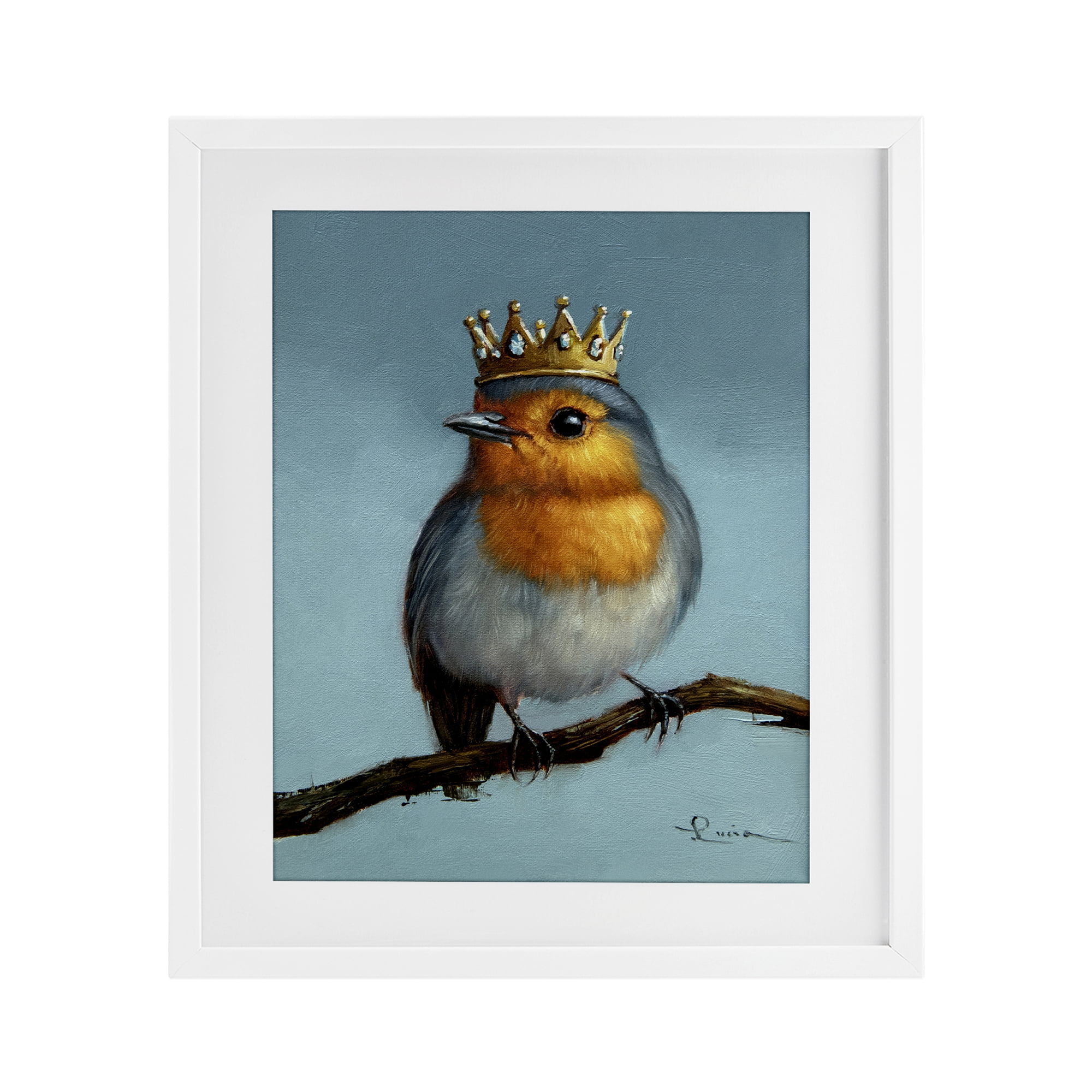 Royal Robin Perched White Framed Print Under Glass, design by Lucia ...