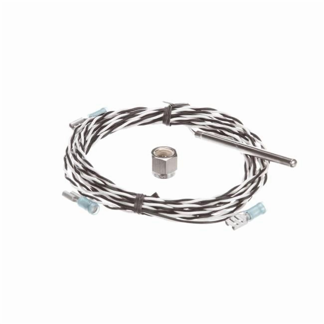 Royalton 1765A Genuine OEM Probe Assembly - Water Bath, RTD2K - Walmart.com