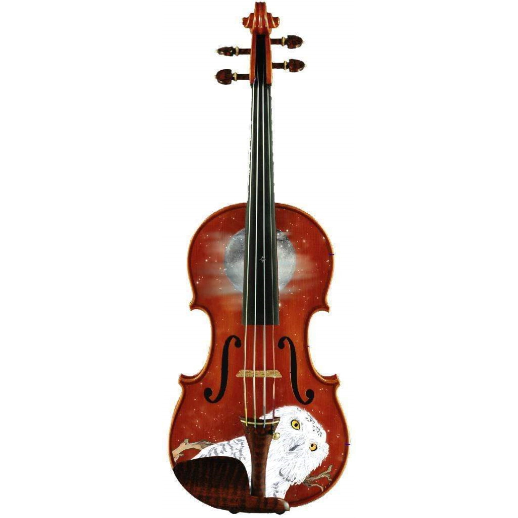 Rozanna's Violins Mystic Owl Violin Outfit w/ Brazilwood Bow, Case ...