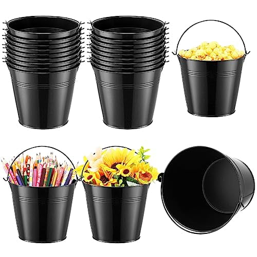 Rtteri 24 Pcs Small Metal Buckets with Handle Mini Buckets Bulk for ...