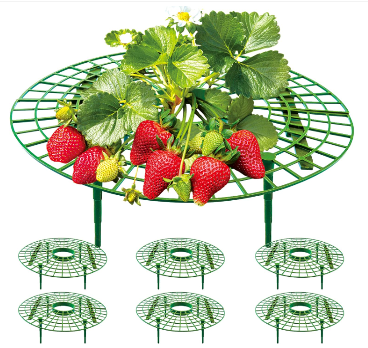 RuWeoMaa 6 Pack Strawberry Planting Stand, Strawberry Plant Support ...