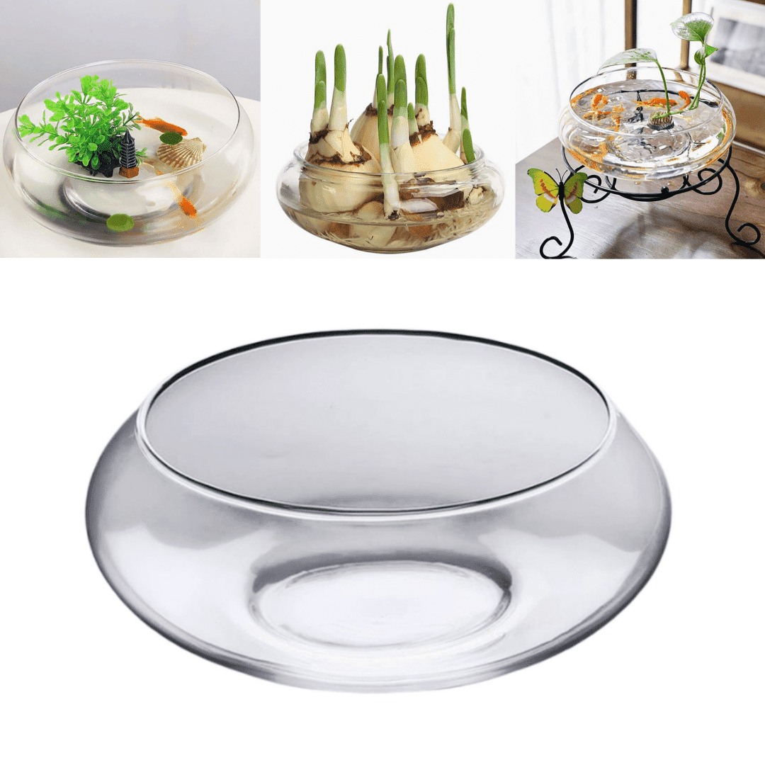 RuWeoMaa Lotus Bowl Planter Round Lotus Bowl Glass Lotus Flower Bowl 8 ...