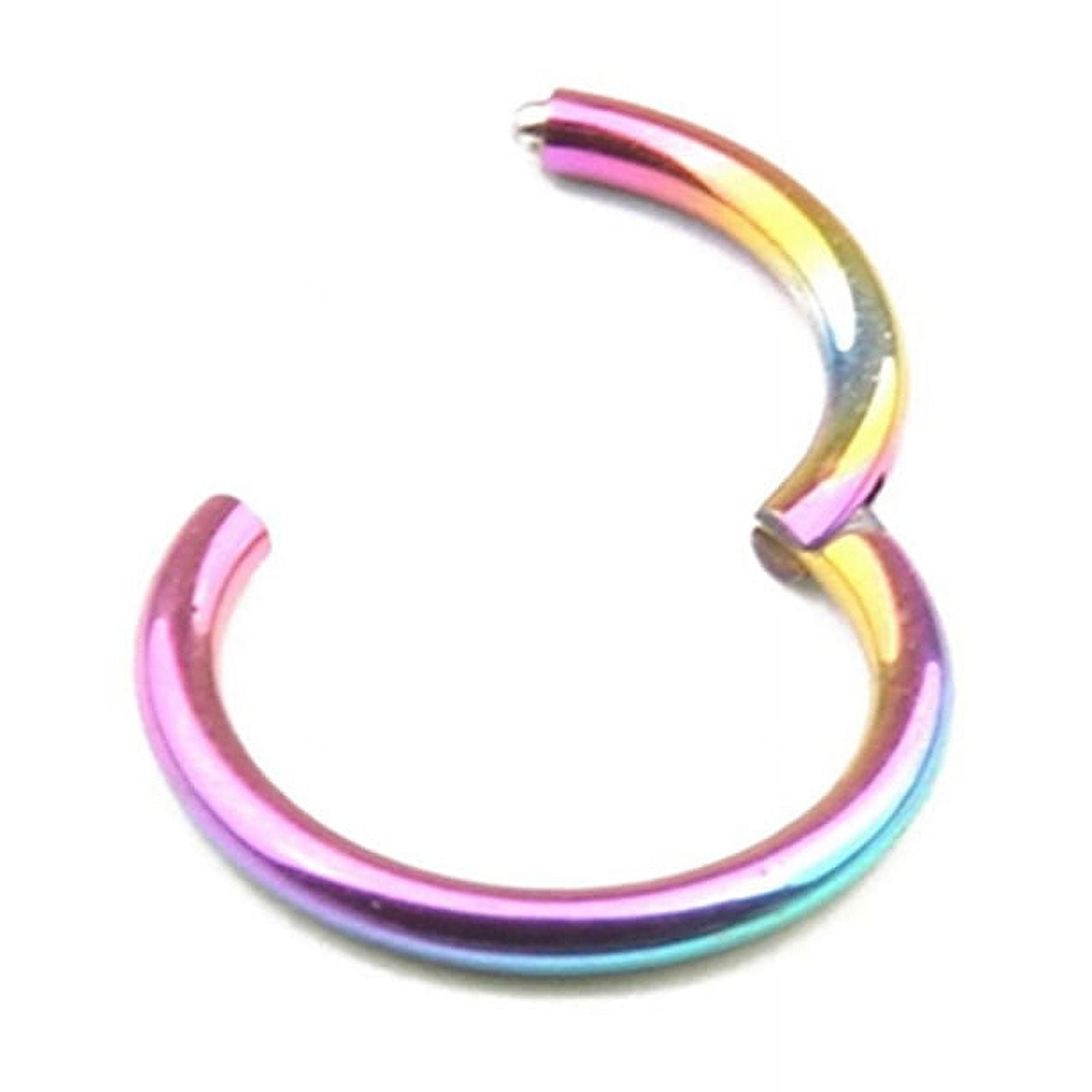 Ruanlalo 1 Pc 16G 14G Hinged Segment Hoop Ring Stainless Steel Lip Nose Septum Piercing Rainbow ...