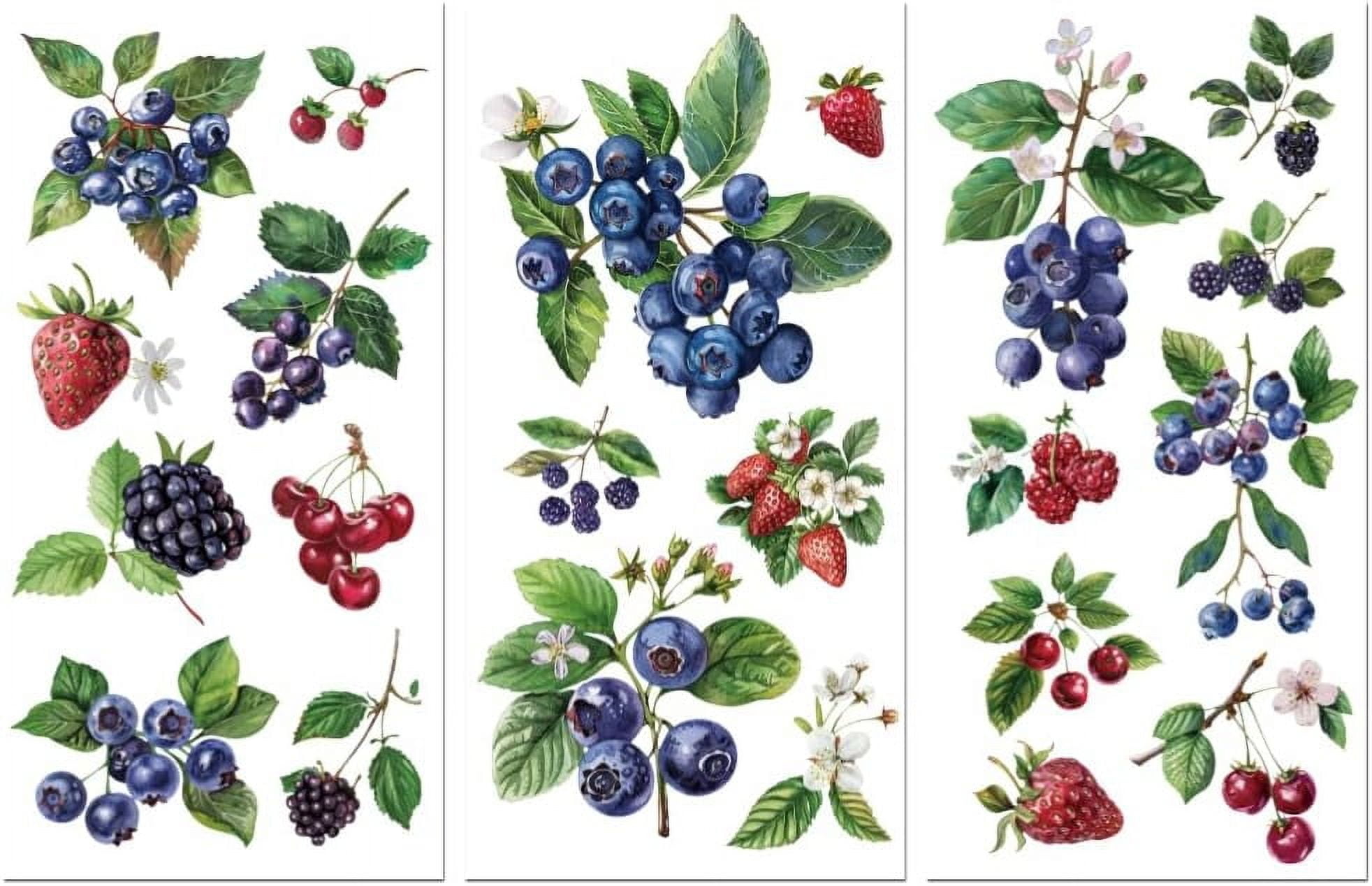 Rub on Transfer Decals for Furniture Crafts 6"x12" 3Pcs Berries ...