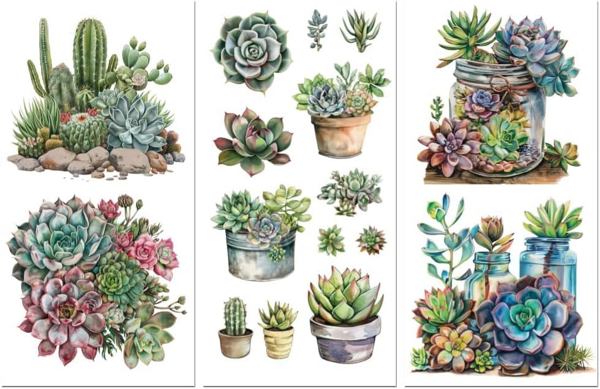 Rub on Transfer Decals for Furniture Crafts 6"x12" 3Pcs Succulent and ...