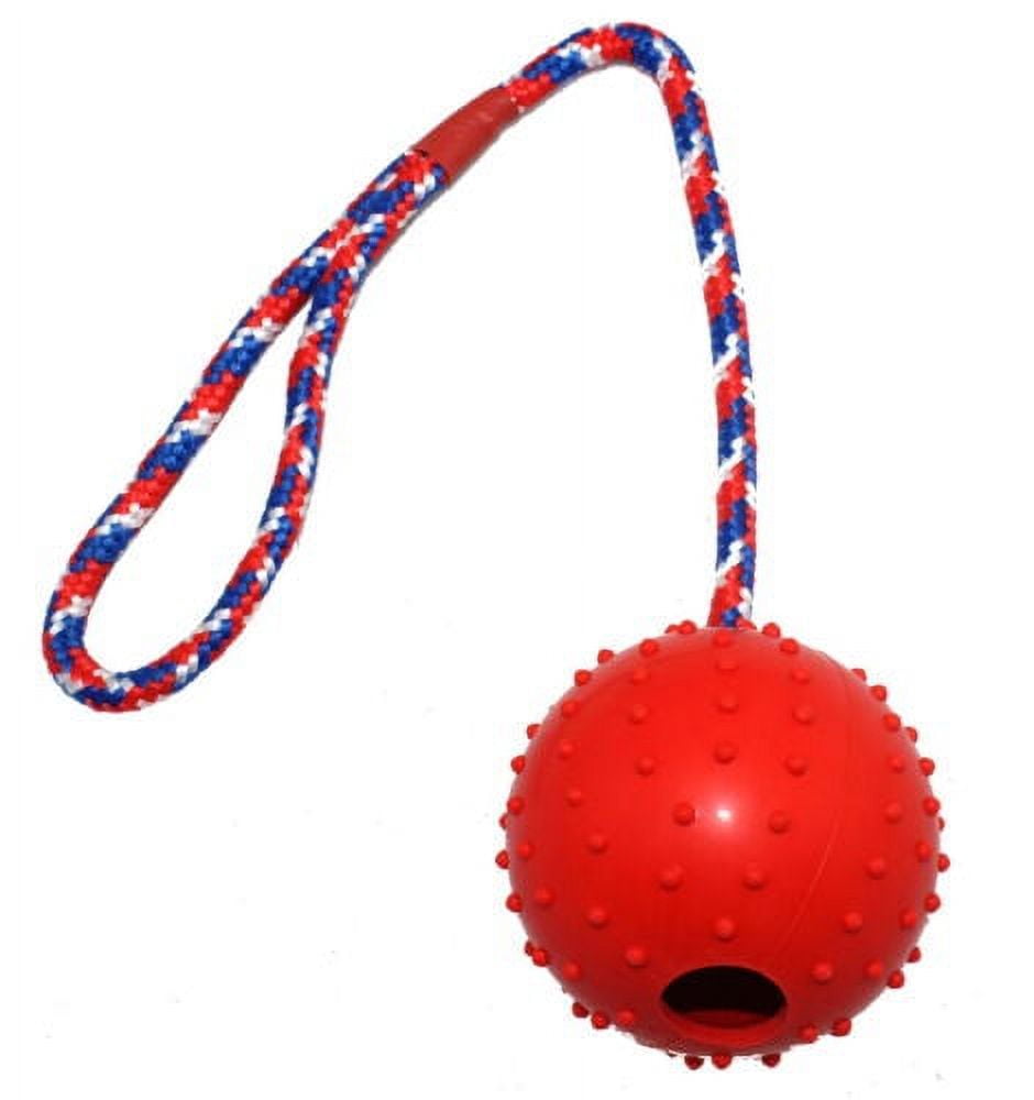 Rubber Ball Chew Toy with Tug Rope - Small - Walmart.com
