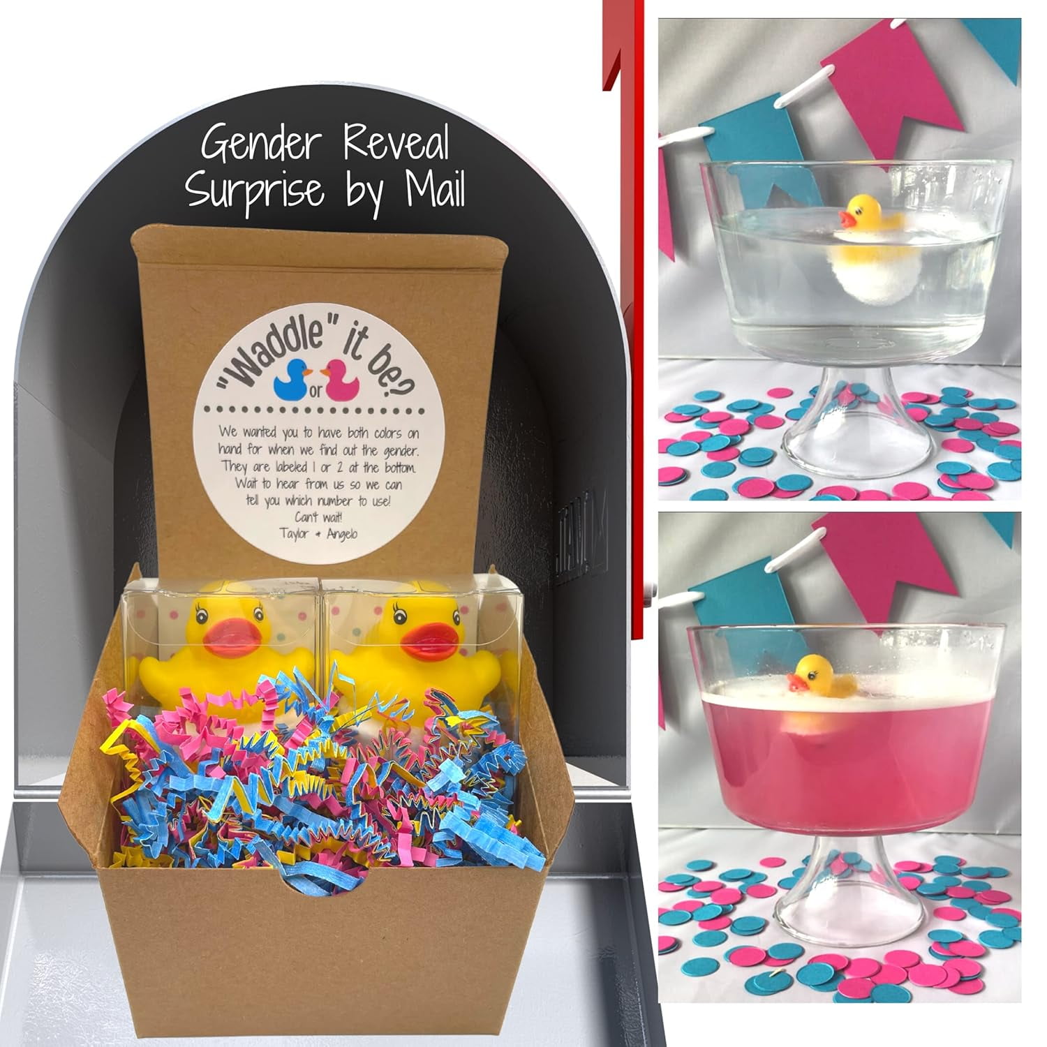 Rubber Gender Reveal Fizzes by mail | Pregnancy Announcement | Gift Box ...