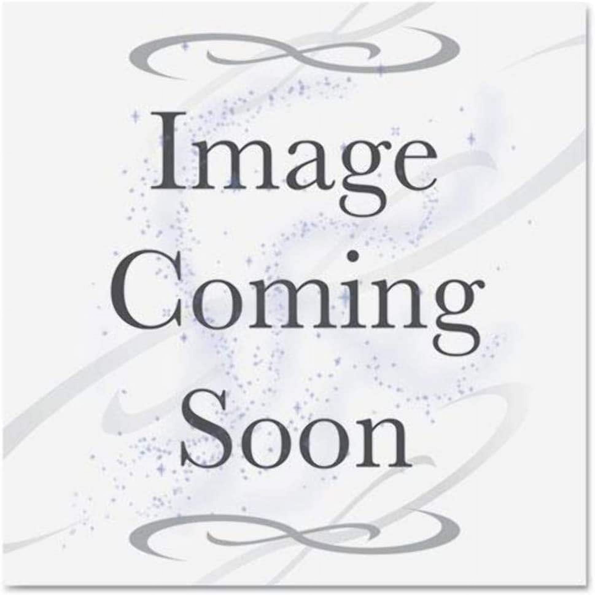 Rubbermaid Mop Bucket With Wringer FGG03406 - Walmart.com