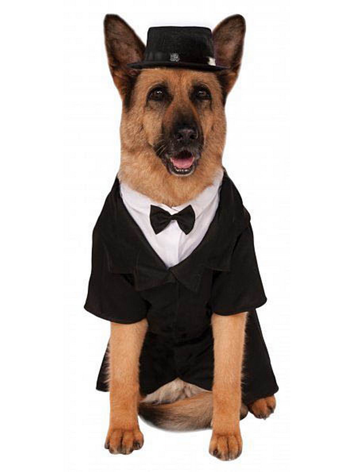 Rubie's Dapper Dog - Big DogsÃ† Pet Costume - Walmart.com