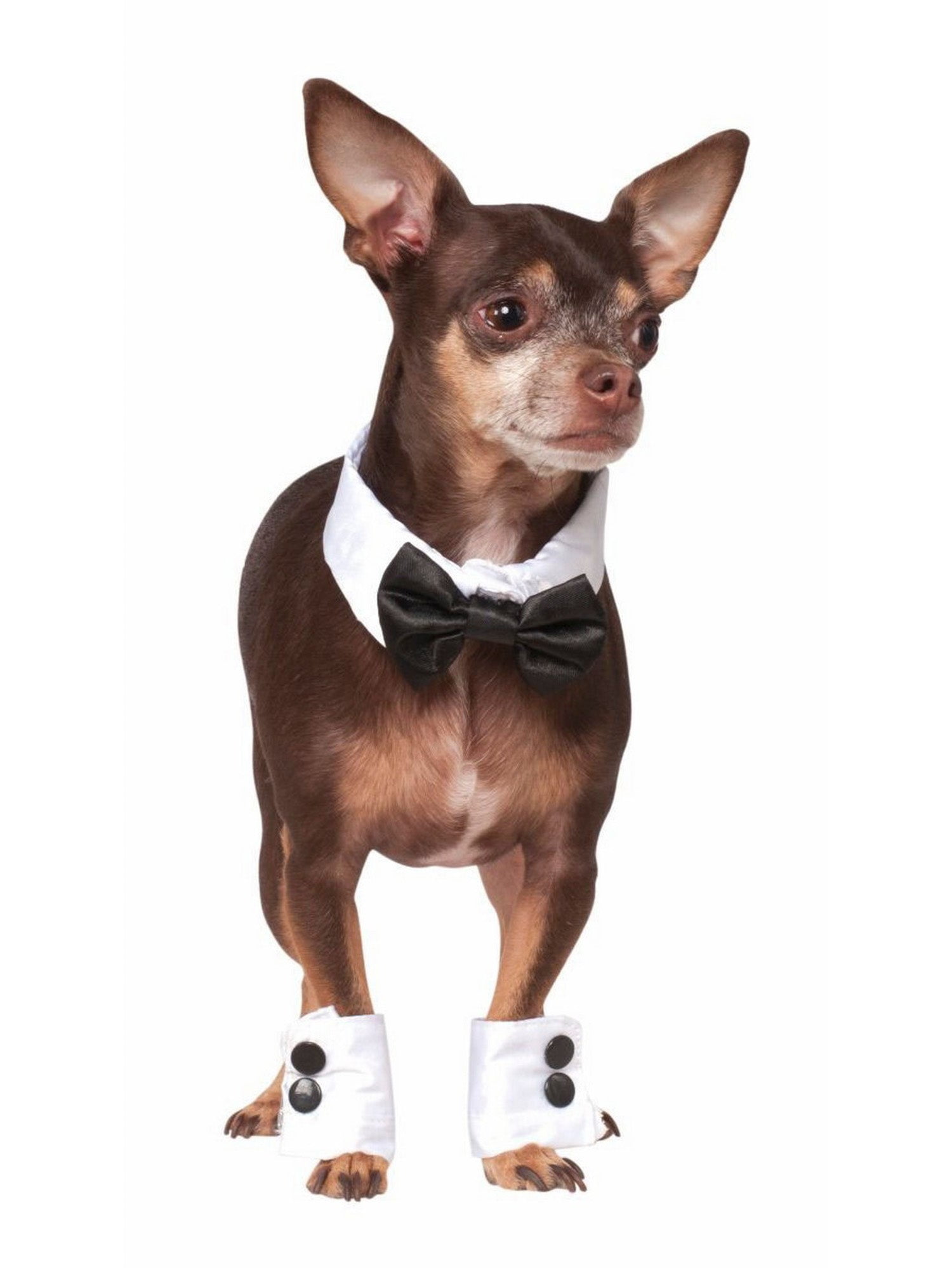 Rubie's Tuxedo Bowtie & Cuff Pet Set - Walmart.com