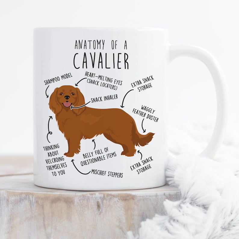Ruby Cavalier King Charles Spaniel Mug, Cute Cav Gift, Dog Lover, Dog ...