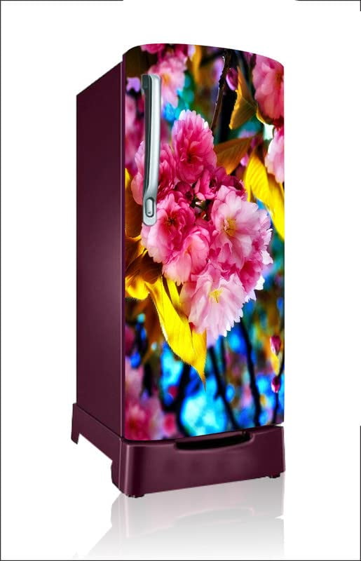 Ruby Dcor Decorative Beautifull Multicolor Flowers Plant with Leaf Best ...