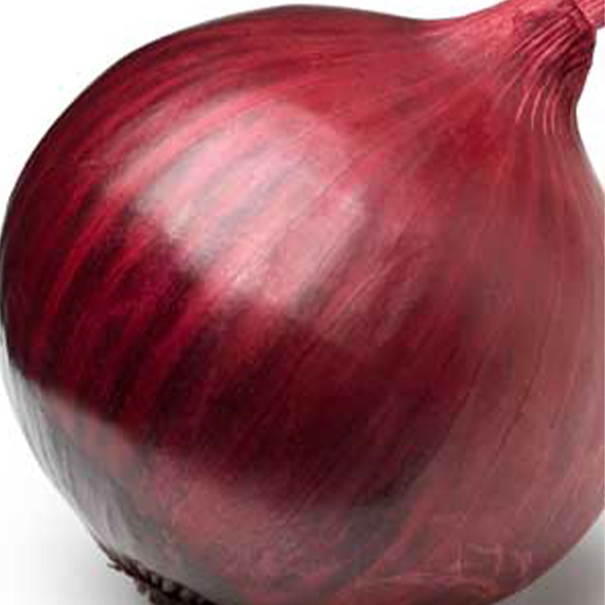 Onion RED Creole Great Heirloom Vegetable 1,200 Seeds - Walmart.com