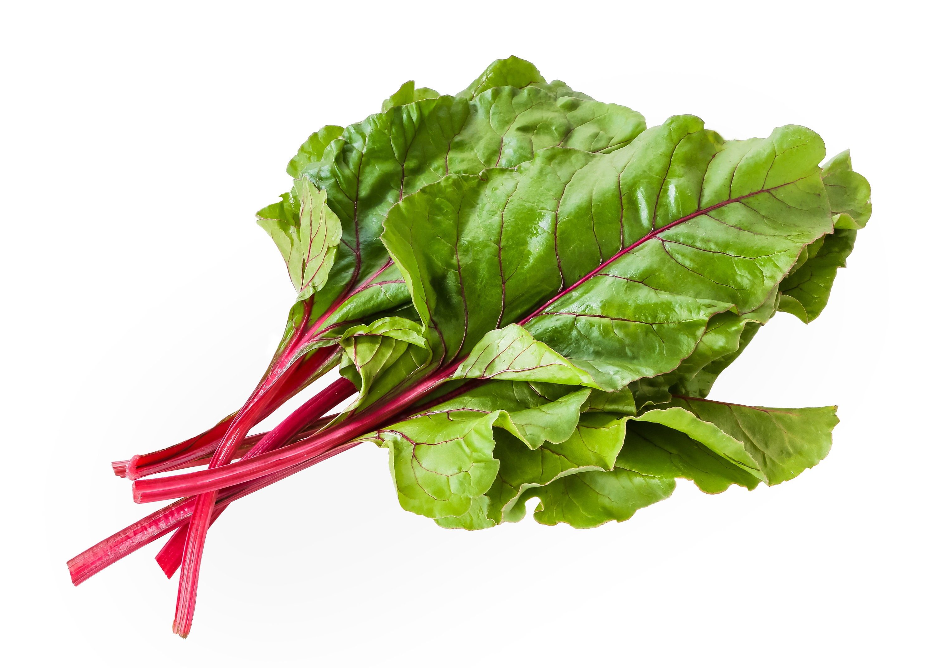 Sherwood's Seeds Ruby Red Swiss Chard Beet Tops Plant Seeds, Heirloom ...