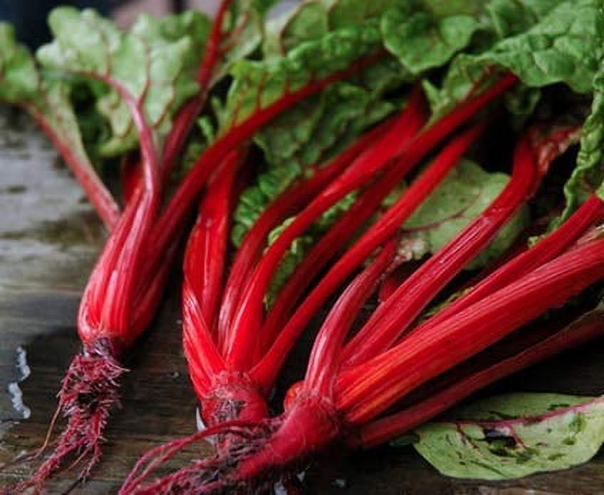 Ruby Red Swiss Chard Seeds for Planting, 300+ Heirloom Seeds Per Packet ...