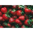Ruby Royale Strawberry Plants - Grow Giant Strawberries - Bare Root ...