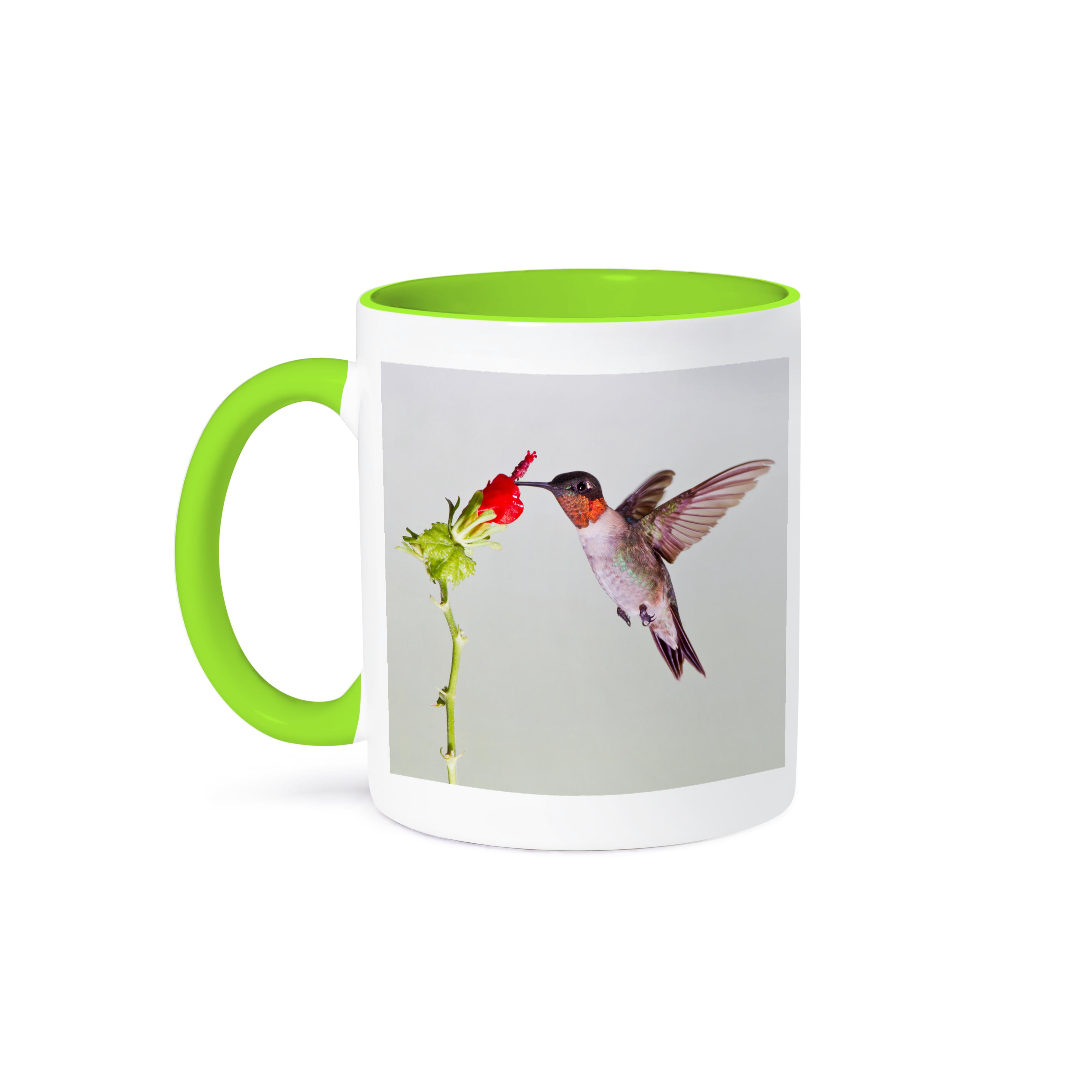 3dRose, Ruby-throated Hummingbird, Archilochus colubris, feeding, Texas ...