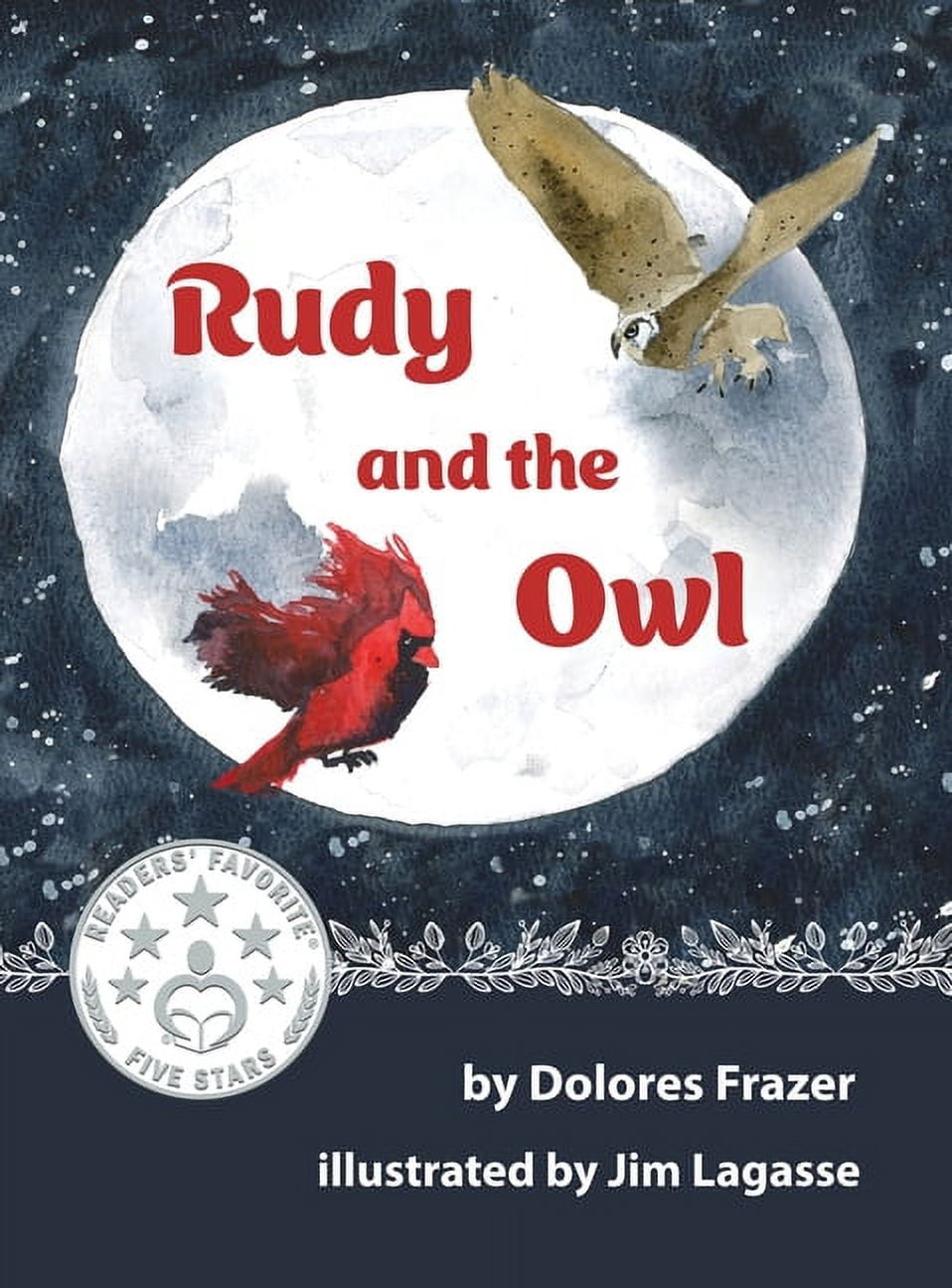 Rudy and the Owl (Hardcover) - Walmart.com