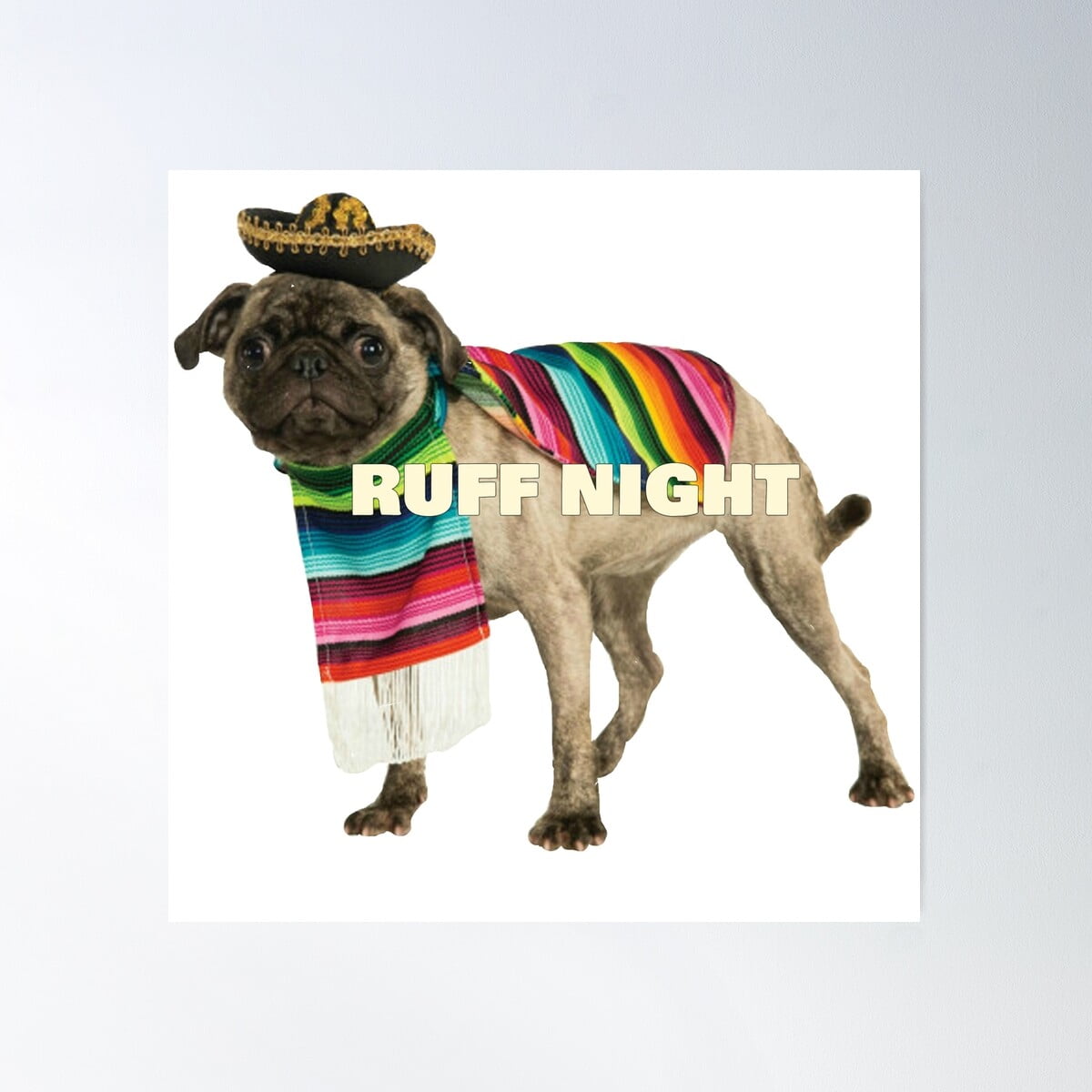Ruff Night Poster, 8x12 UNFRAMED - Walmart.com