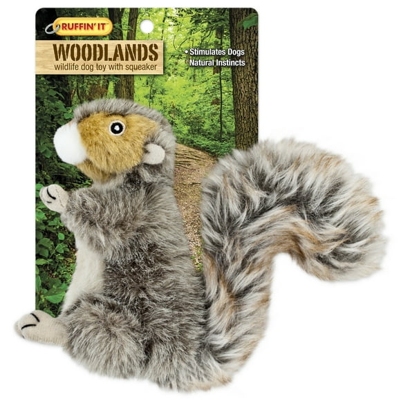 Squirrel Dog Toy