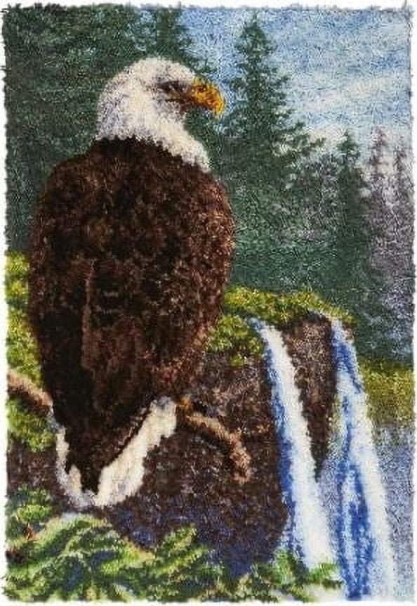 Eagle Rug Making Latch Hooking Kit with Printed Canvas | Craft Tools (5 ...