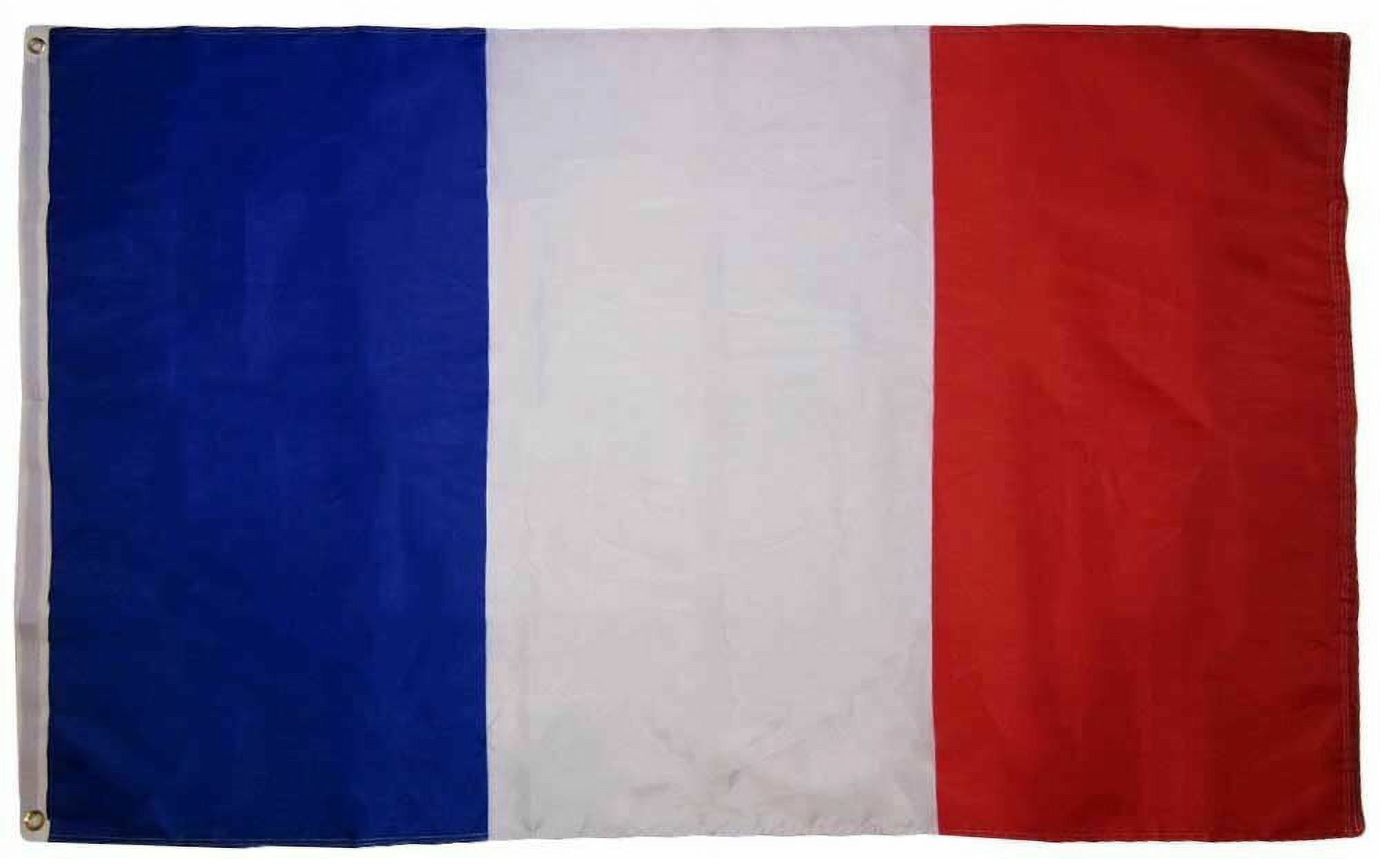 Rugby World Cup France French 3x5ft 3x5 Flag - Walmart.com