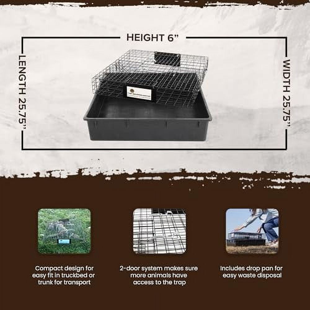 Rugged Ranch CHPTO Chipmunkinator 2 Door Small Metal Wire Multi-Catch ...