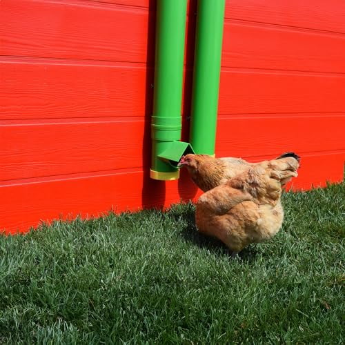 Rugged Ranch High End Hen Elevated 10 Pound PVC Poultry Feeder and ...