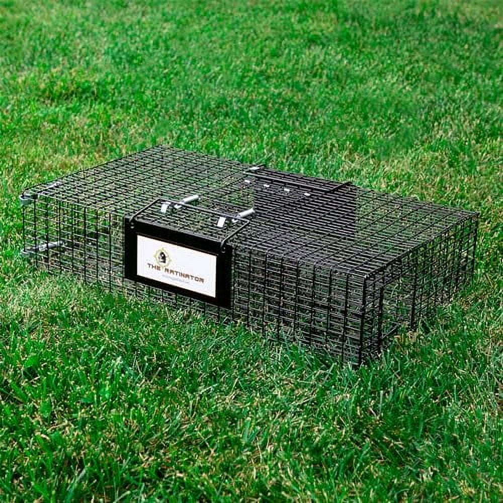 Rugged Ranch Rat Trap, Live Mouse Catch & Release Cage, Ratinator ...