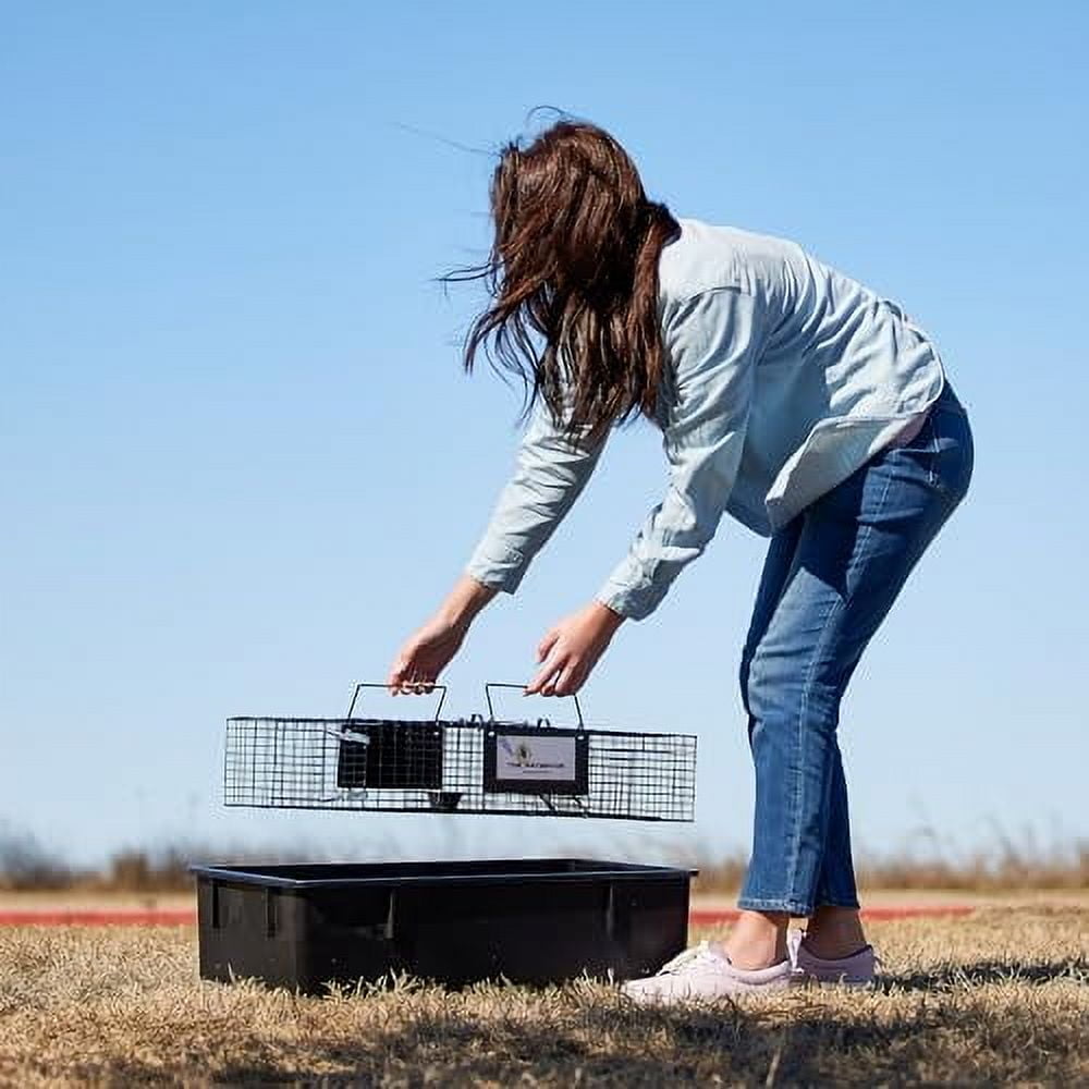 Rugged Ranch Rat Trap, Live Mouse Catch & Release Cage, Ratinator ...