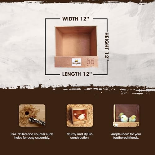 Rugged Range Products Studio 12"x12" Flat Wooden Single Compartment ...