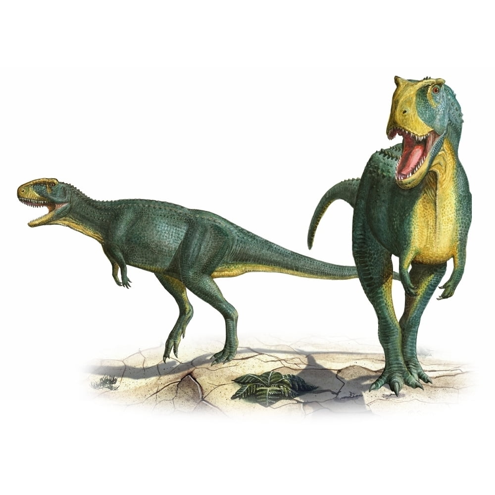 Rugops primus a prehistoric era dinosaur Poster Print - Walmart.com