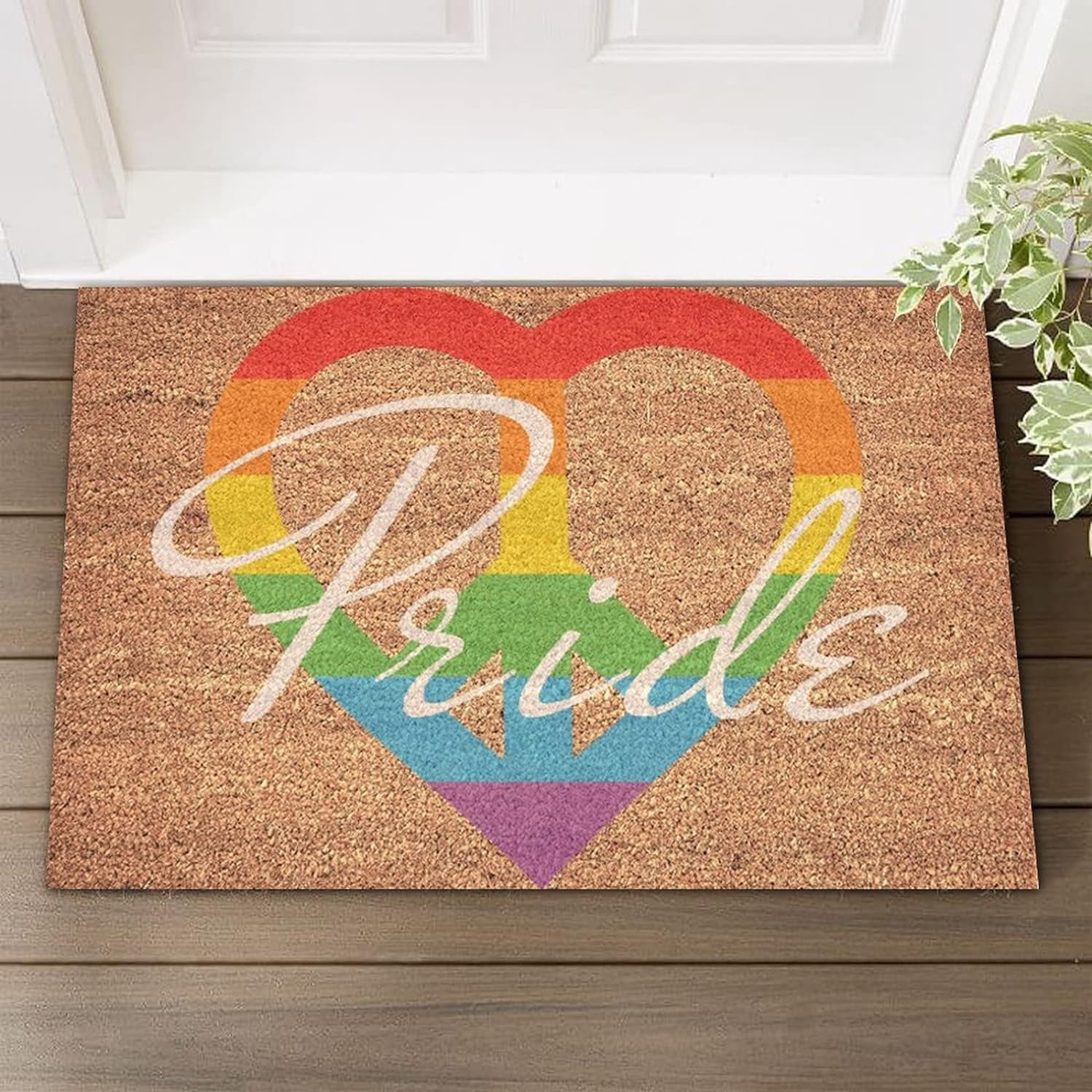 Rugs for Entryway Bisexual and Transgender People Indoor Outdoor ...