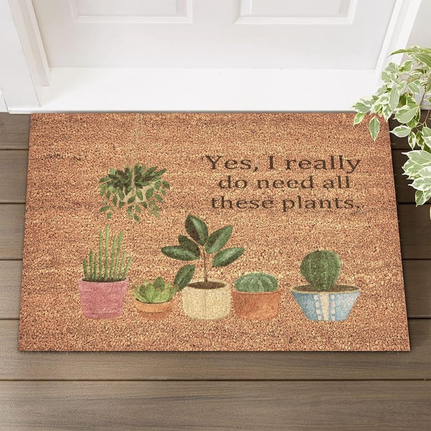 Rugs for Entryway Plant Lover Gift Funny Entryway Rug with Yes I Really ...