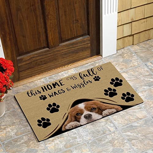 Rugs for Entryway Welcome Funny Doormat Cavalier King Charles Spaniel ...