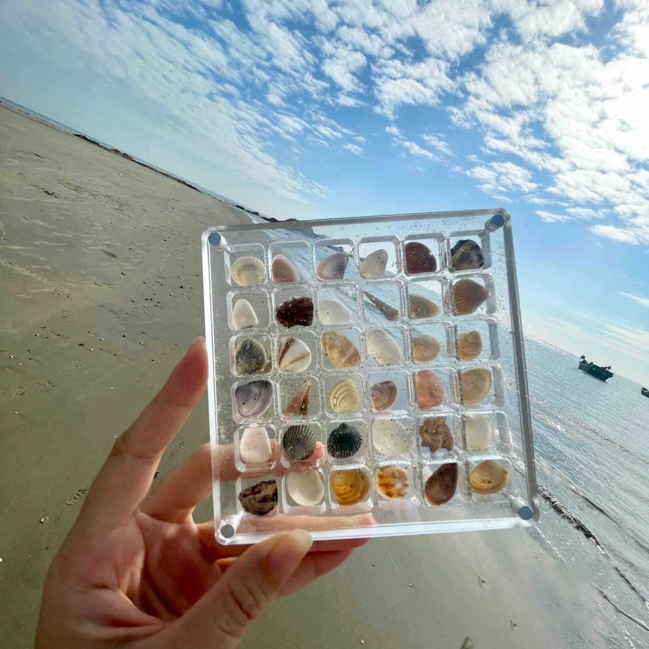Ruhiku GW Acrylic Magnetic Seashell Display Box, Shell Storage Box for ...