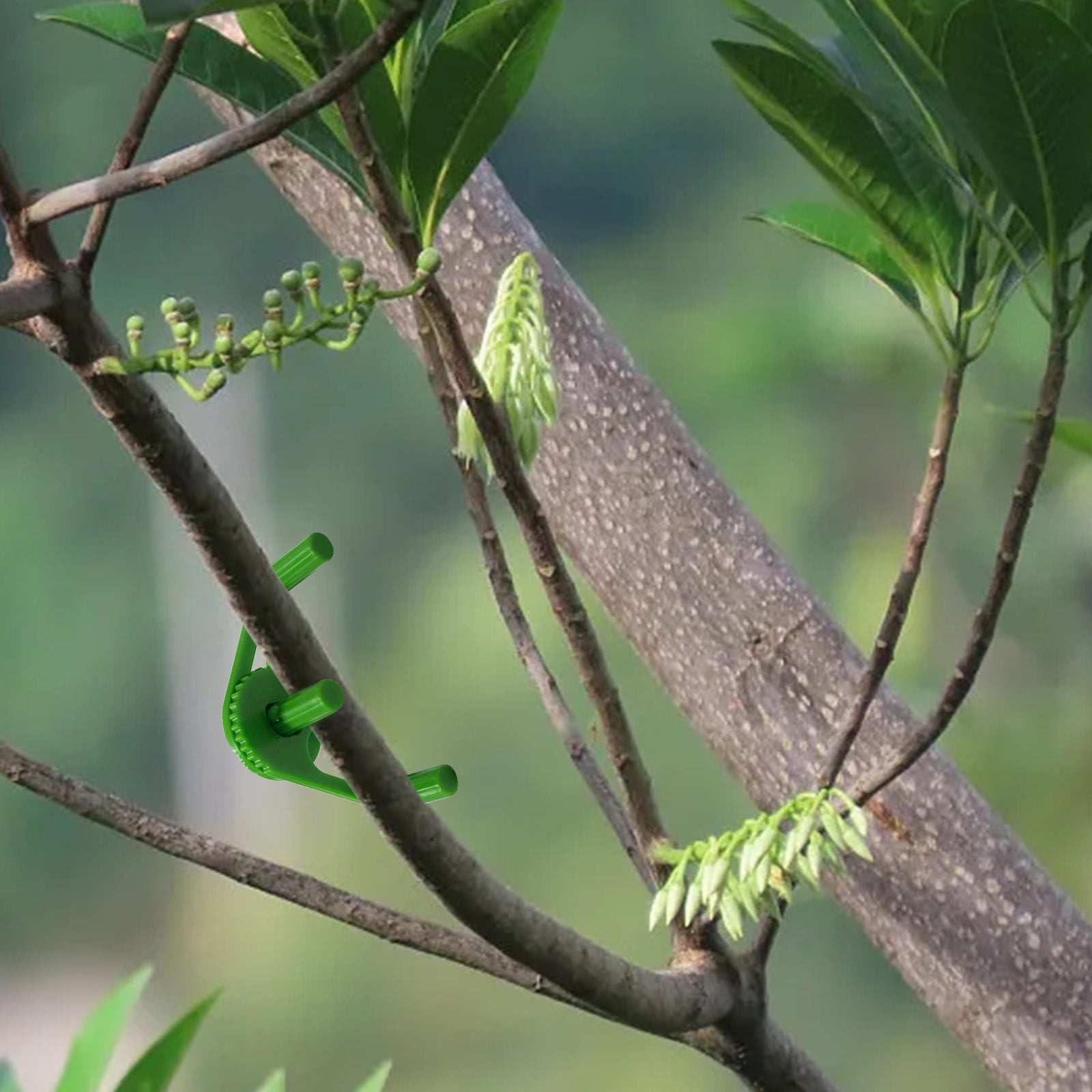 RuiJiao 20-Piece Adjustable Bending Low-Stress Training Device for ...