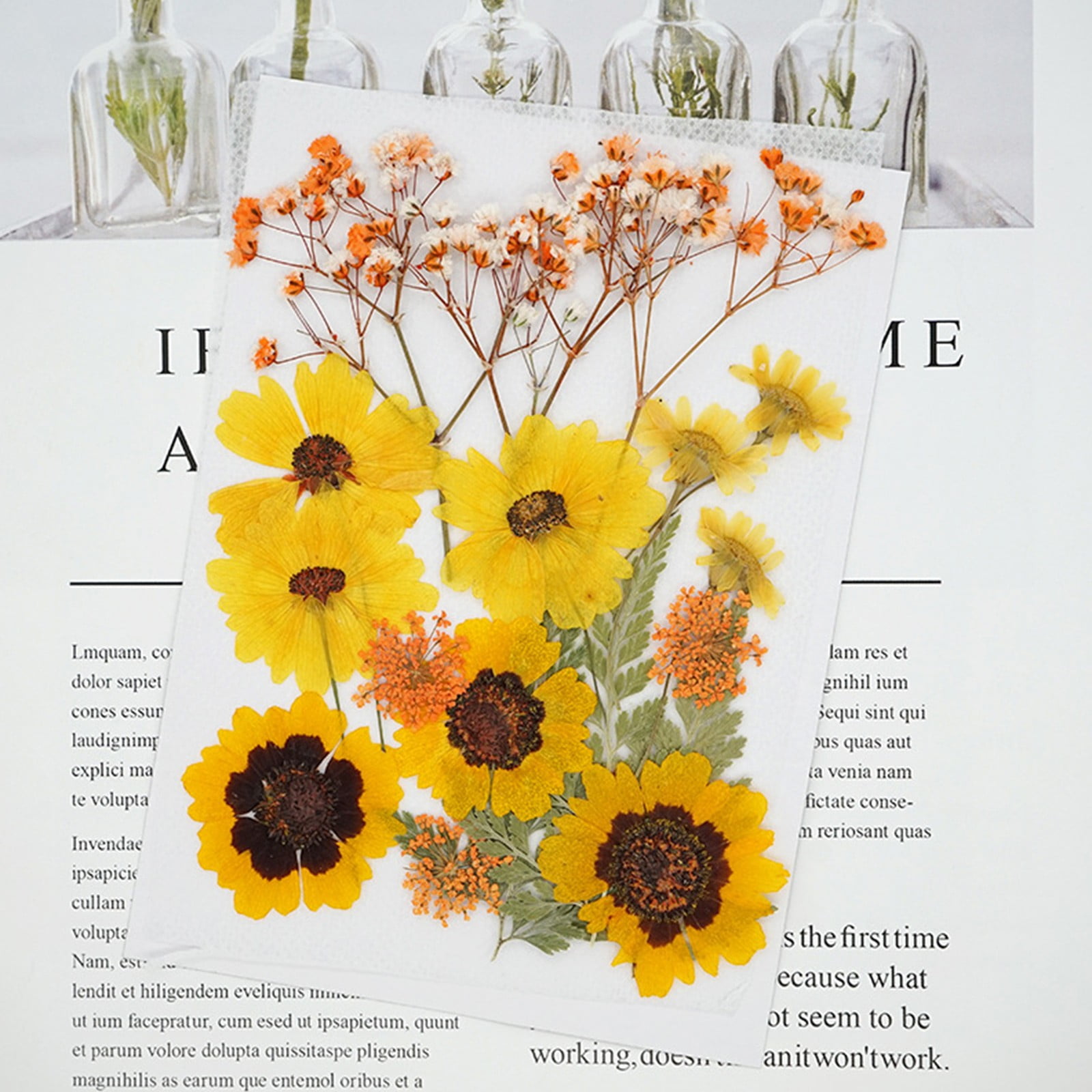 RuiJiao DIY Natural Dried Flower Kit - Perfect for Crafting, Jewelry ...