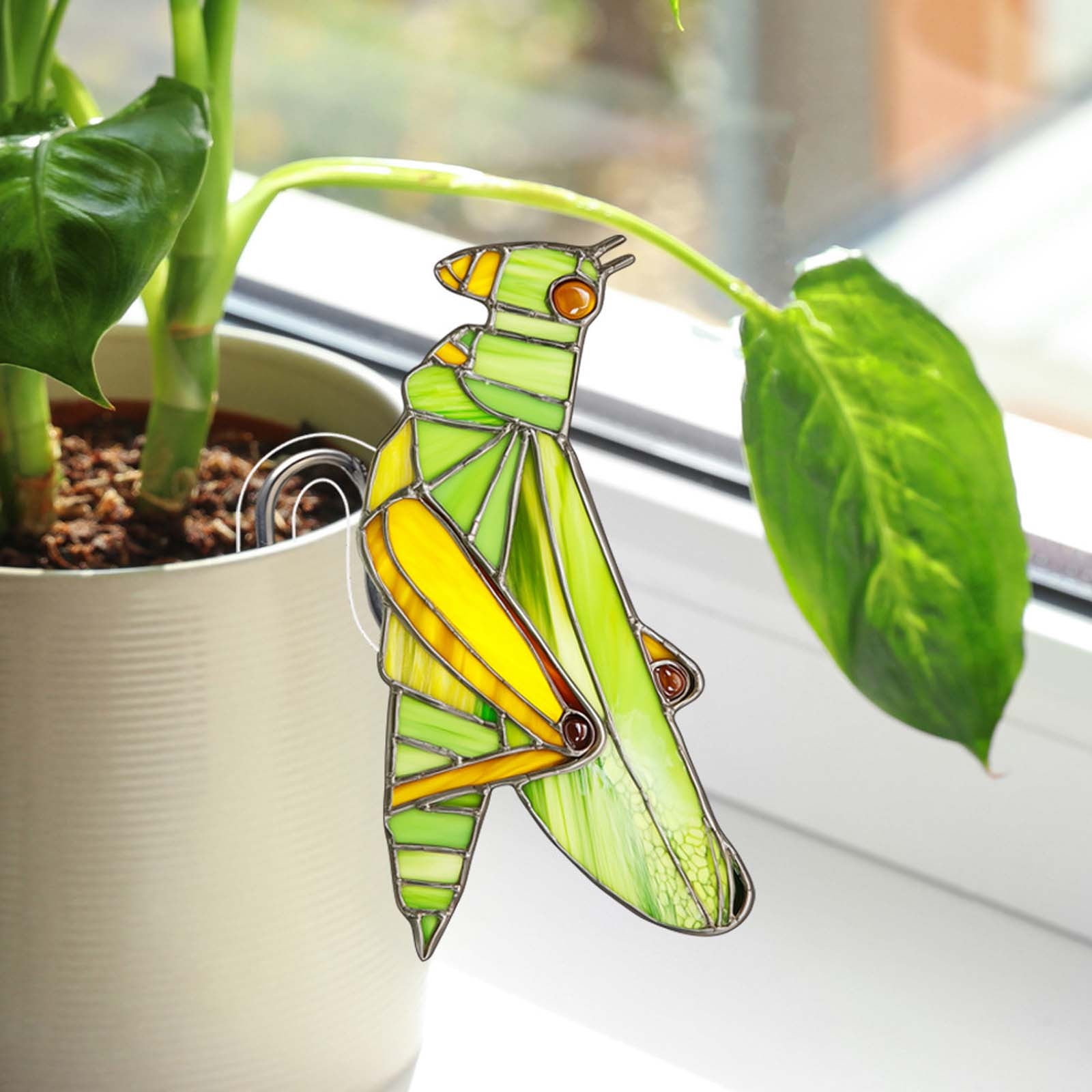 RuiJiao Clearance Vibrant Acrylic Insect-Shaped Plant Pot Decorative ...