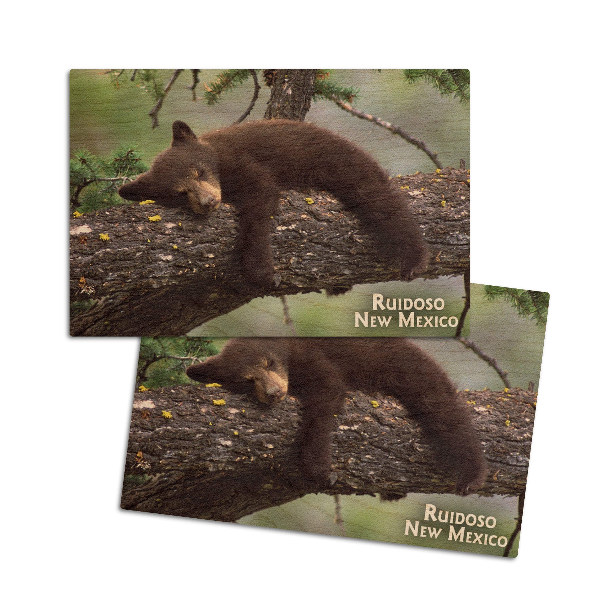 Ruidoso, New Mexico, Black Bear in Tree (4x6 Birch Wood Postcards, 2 ...