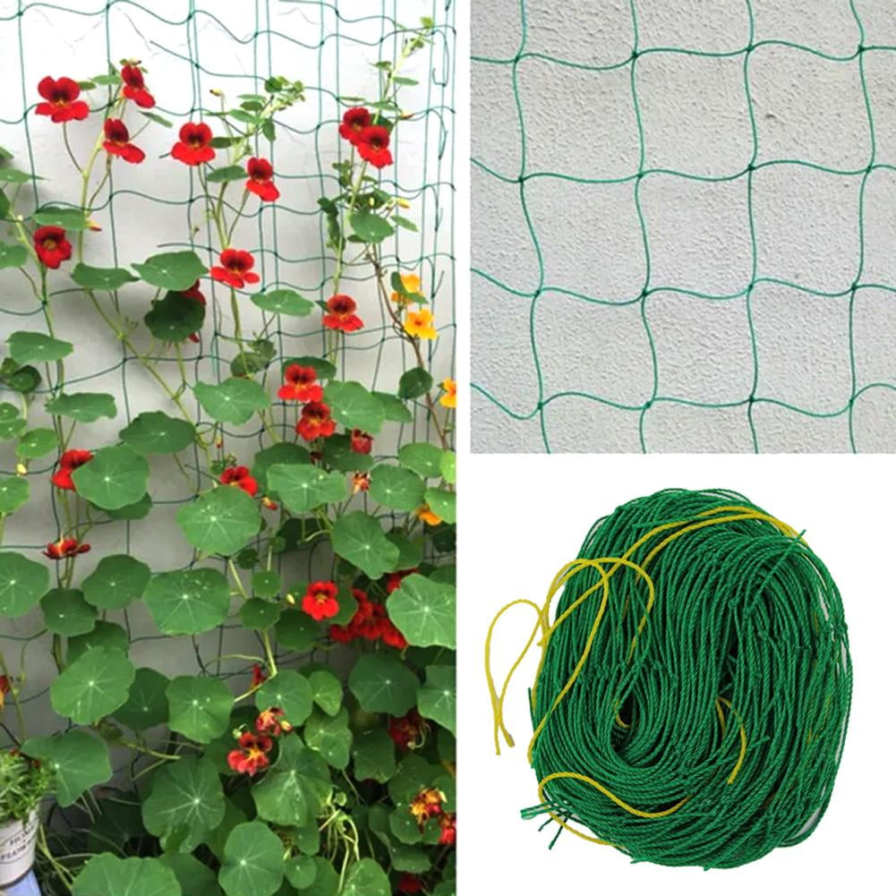Ruifaya Climbing Rattan Net Green Gardening Lattice Net Wear-resistant ...