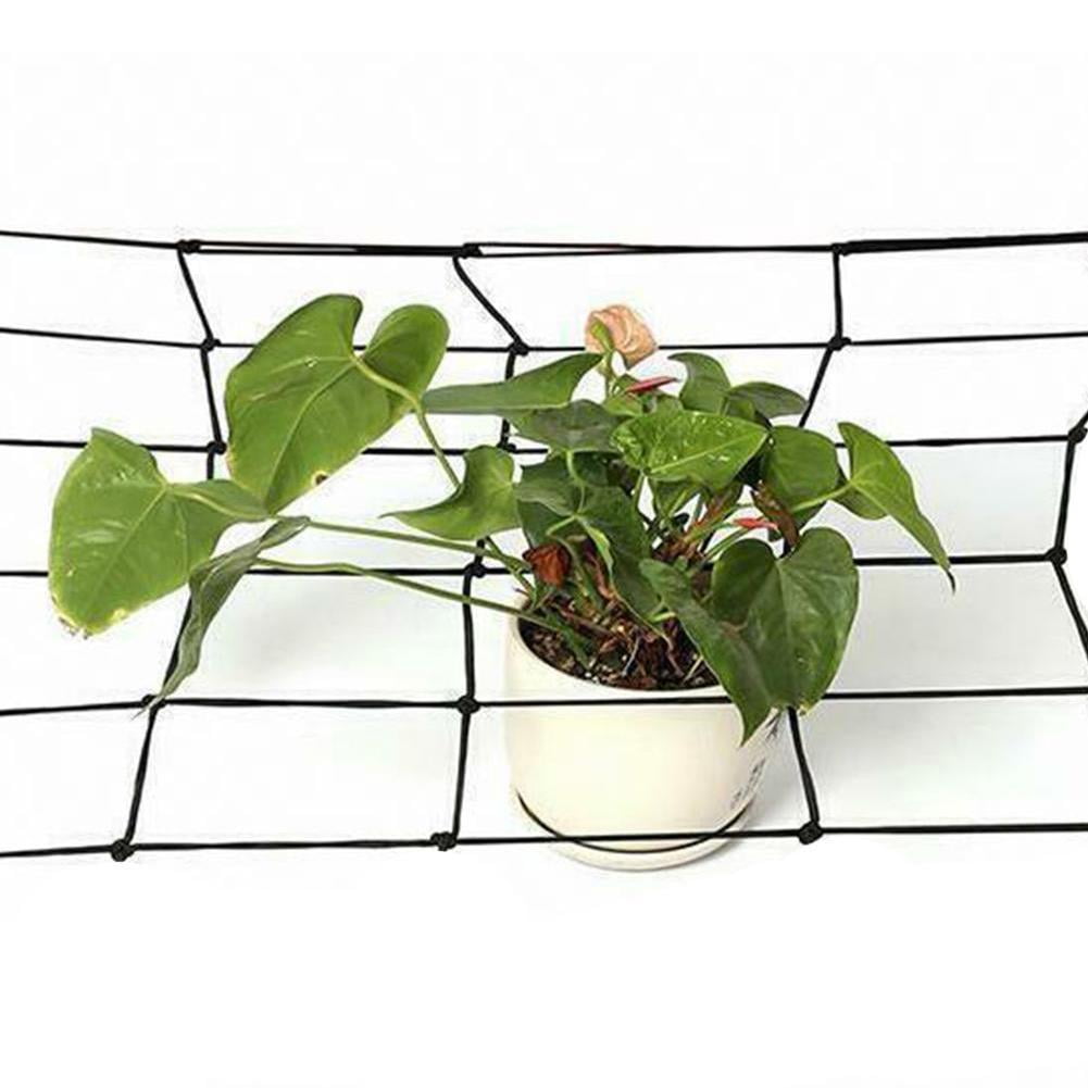 Ruifaya Elasticated Scrog Net Mesh Hydroponics Grow Tent Su D8FJ ...