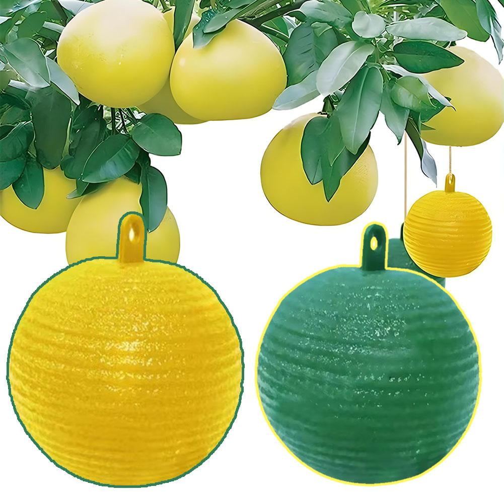 Ruifaya Fly Ball Traps Insects Fruit Flies Trap Reusable Hanging Fruit ...